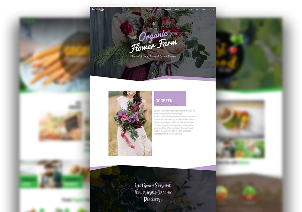 Home – The Cook Grocer